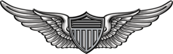 Military and EMS Wing Decals | Nametags4u